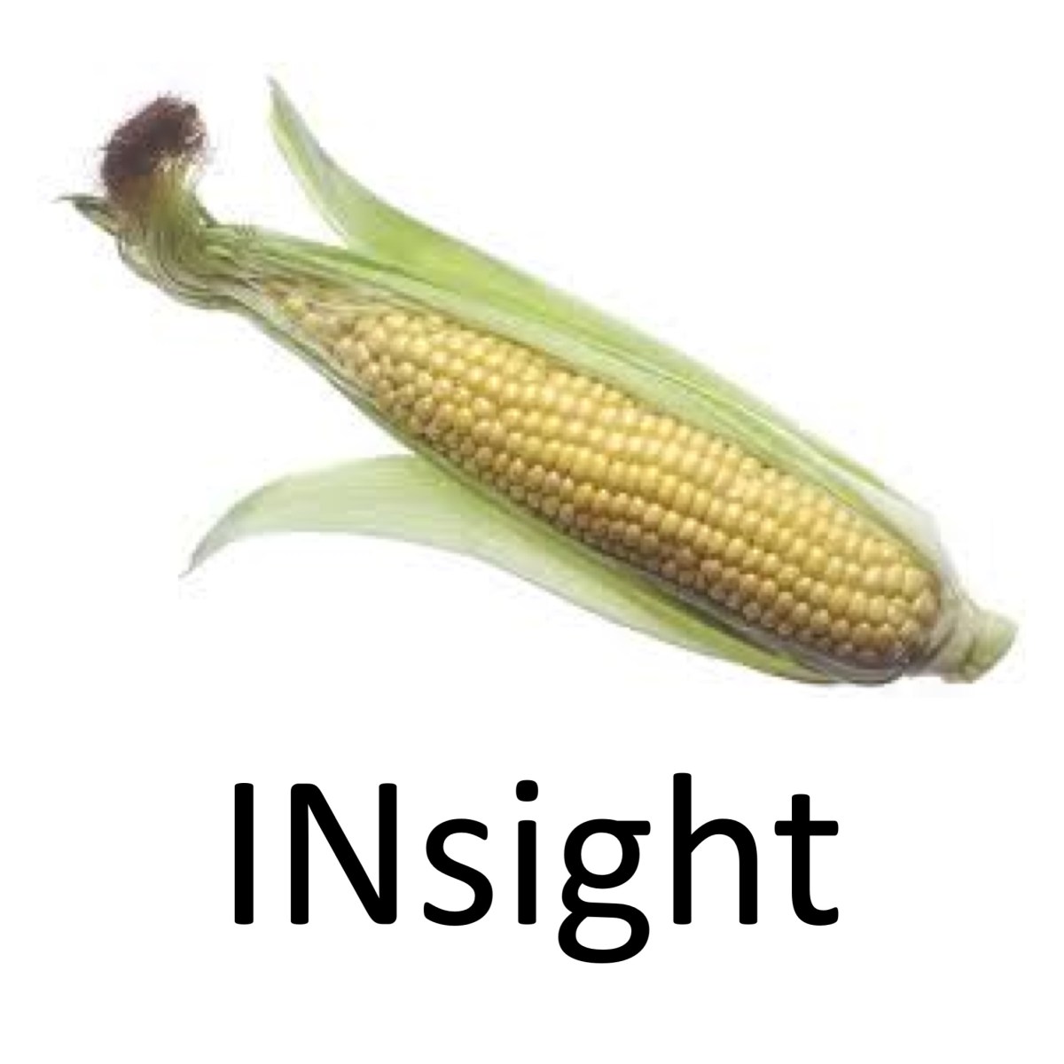 INsight 2017: Tippecanoe District – The Blue Alliance Blog